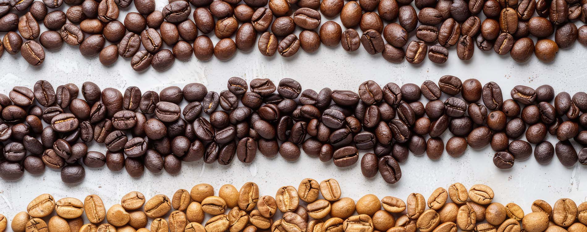 How to Choose the Right Coffee for Your Taste Profile? – Coffee Island